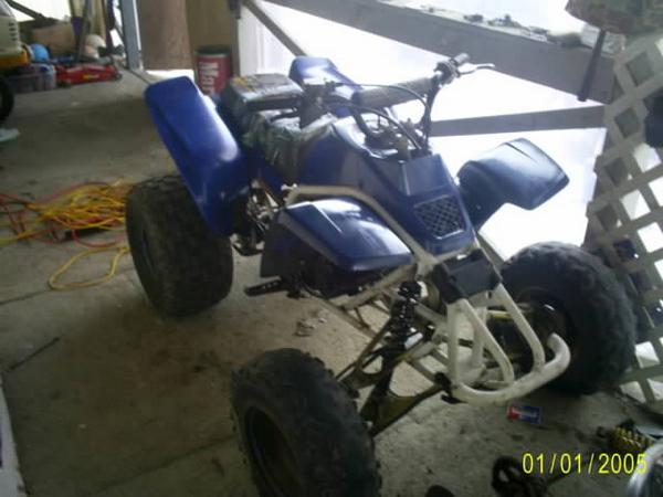 good pic of the warrior rear fenders | Blasterforum.com